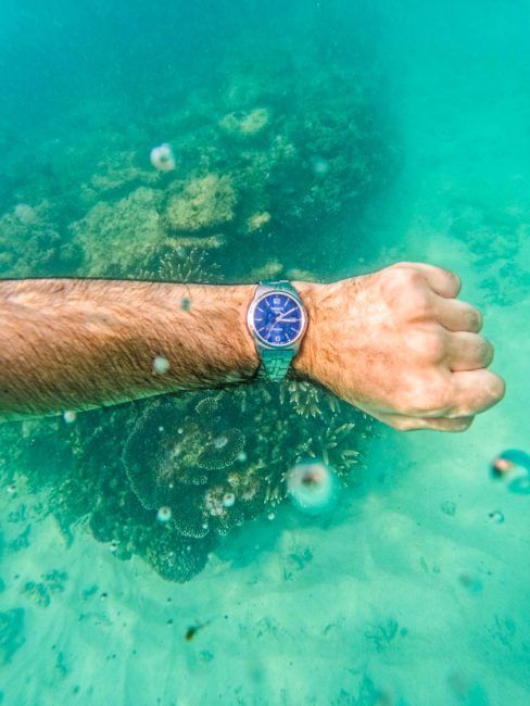 What is the Tonga Time Zone? 🕒🍍 - Tonga Pocket Guide