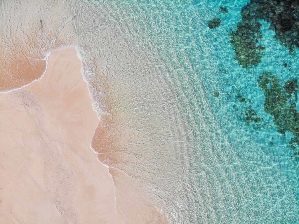 The Complete Travel Guide to The Niuas - Tonga Pocket Guide