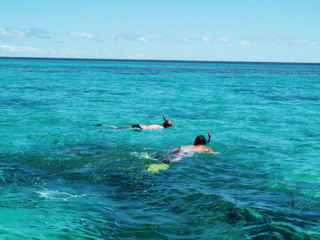 The Best Snorkel & Scuba Dive Tours in Tongatapu - Tonga Pocket Guide