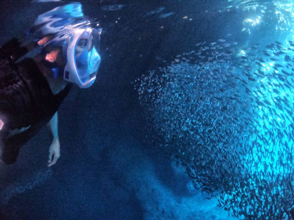 6 Best Snorkelling Tours in Vava'u - Tonga Pocket Guide