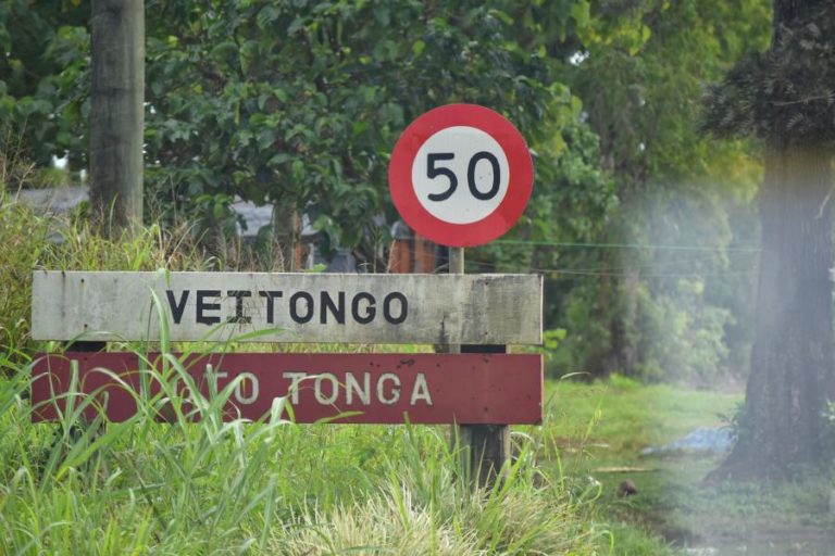 10 Safety Tips for Driving in Tonga - Tonga Pocket Guide