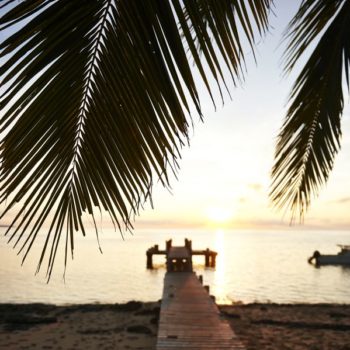 A Brief History of Tonga - Tonga Pocket Guide