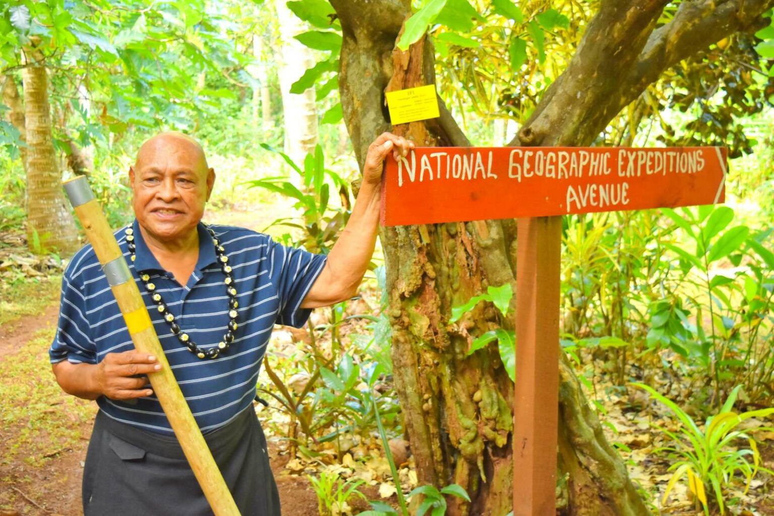 100 Best Things to Do in Tonga: The Ultimate List 🤿 2025