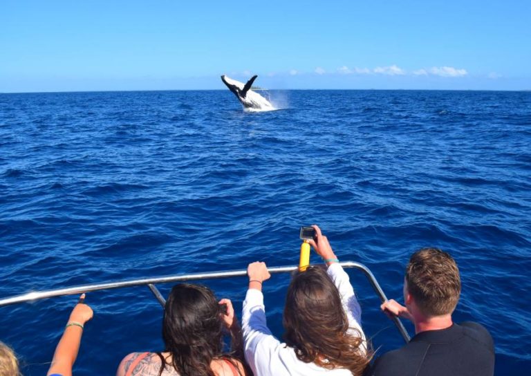 The 10 Most Famous Places in Tonga - Tonga Pocket Guide