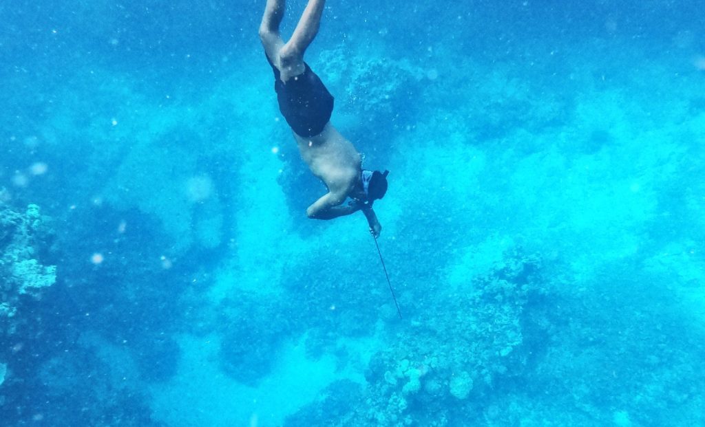 10 Best Fishing Charters in Vava'u - Tonga Pocket Guide