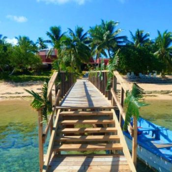 10 Best Ways to Experience the Tongan Culture - Tonga Pocket Guide