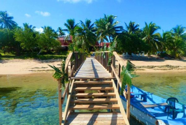 Tonga Resorts & Hotels - Tonga Pocket Guide