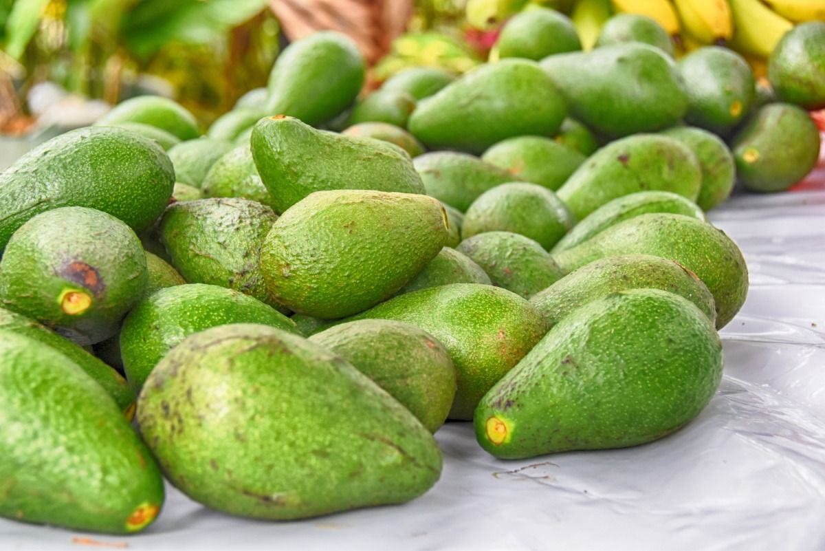 12 Exotic Fruits in Tonga You HAVE to Try! - Tonga Pocket Guide