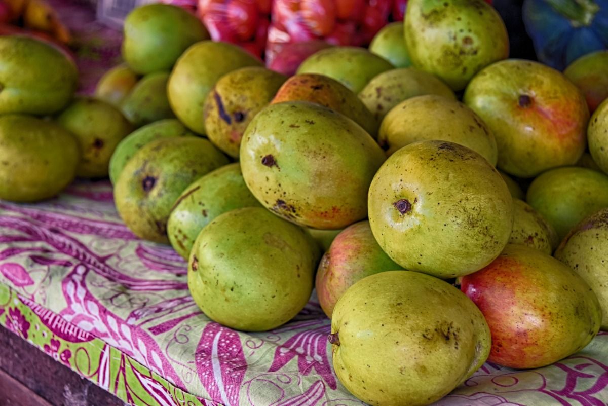 12 Exotic Fruits in Tonga You HAVE to Try! - Tonga Pocket Guide