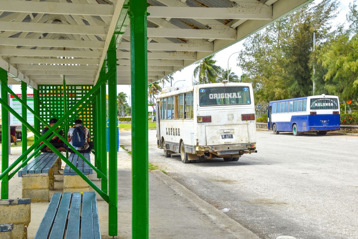 10 Tips for Taking the Bus in Tonga - Tonga Pocket Guide