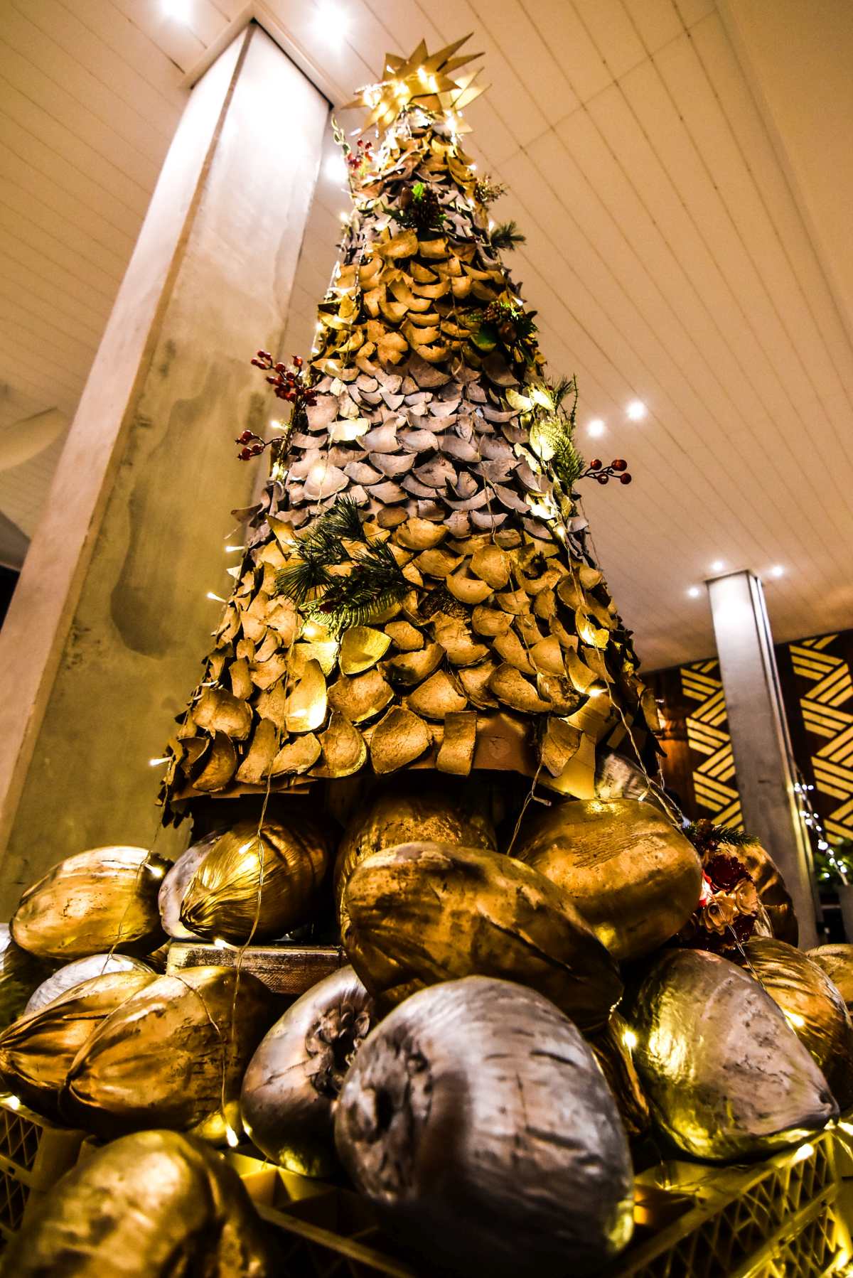 10 Biggest Events & Celebrations in Tonga - Tonga Pocket Guide