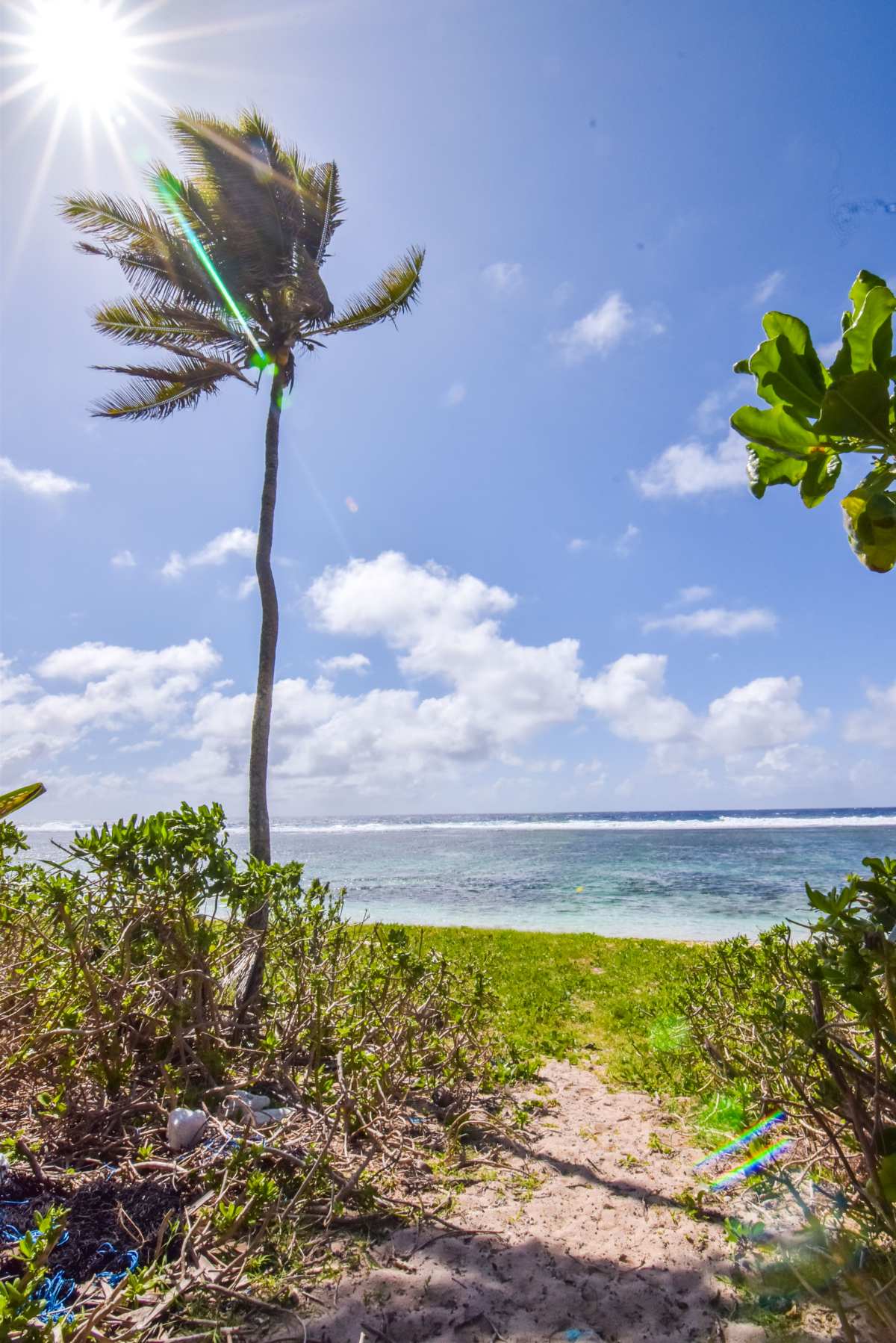 Tonga Weather in February - Tonga Pocket Guide