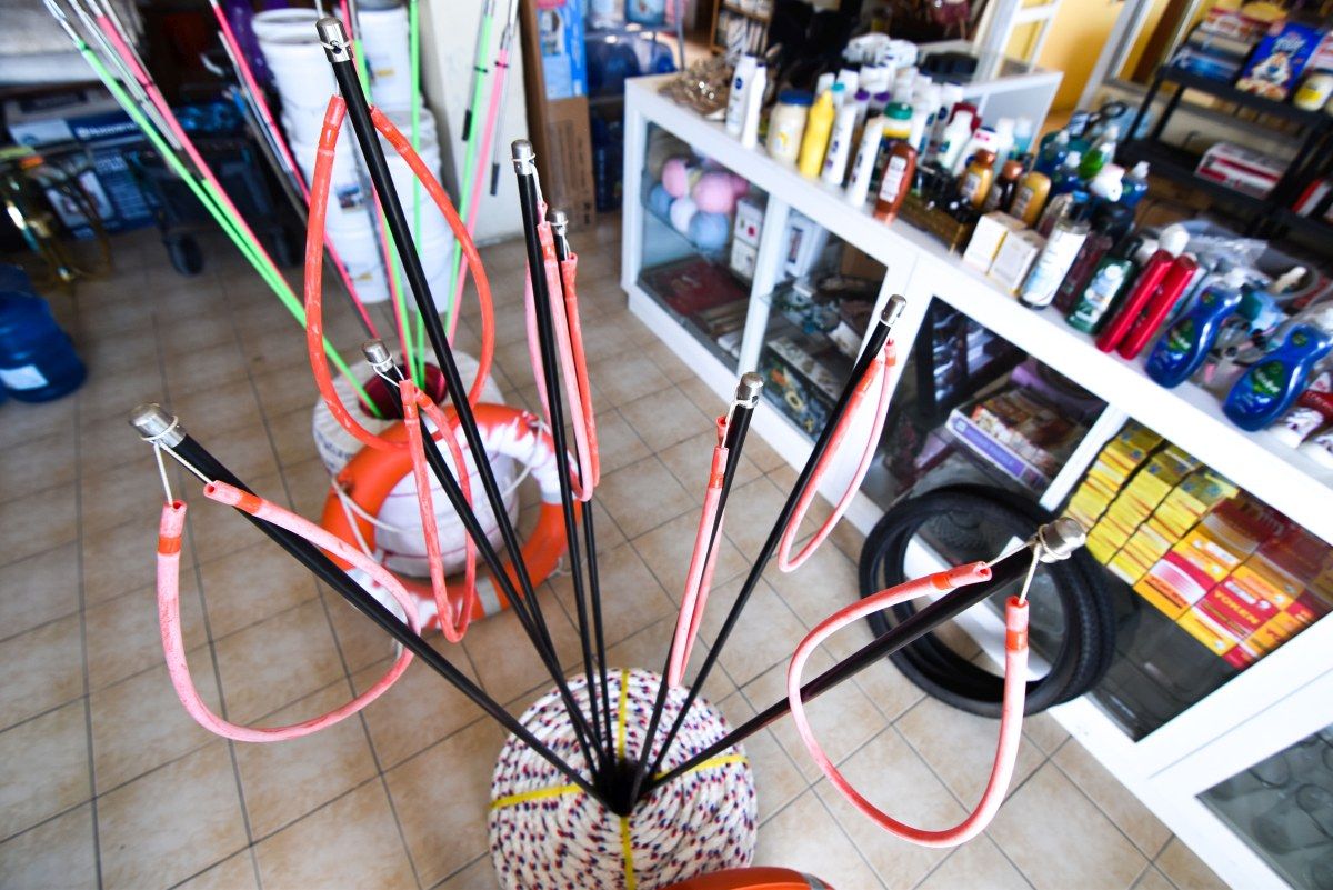 The Complete Guide to Spearfishing in Tonga - Tonga Pocket Guide