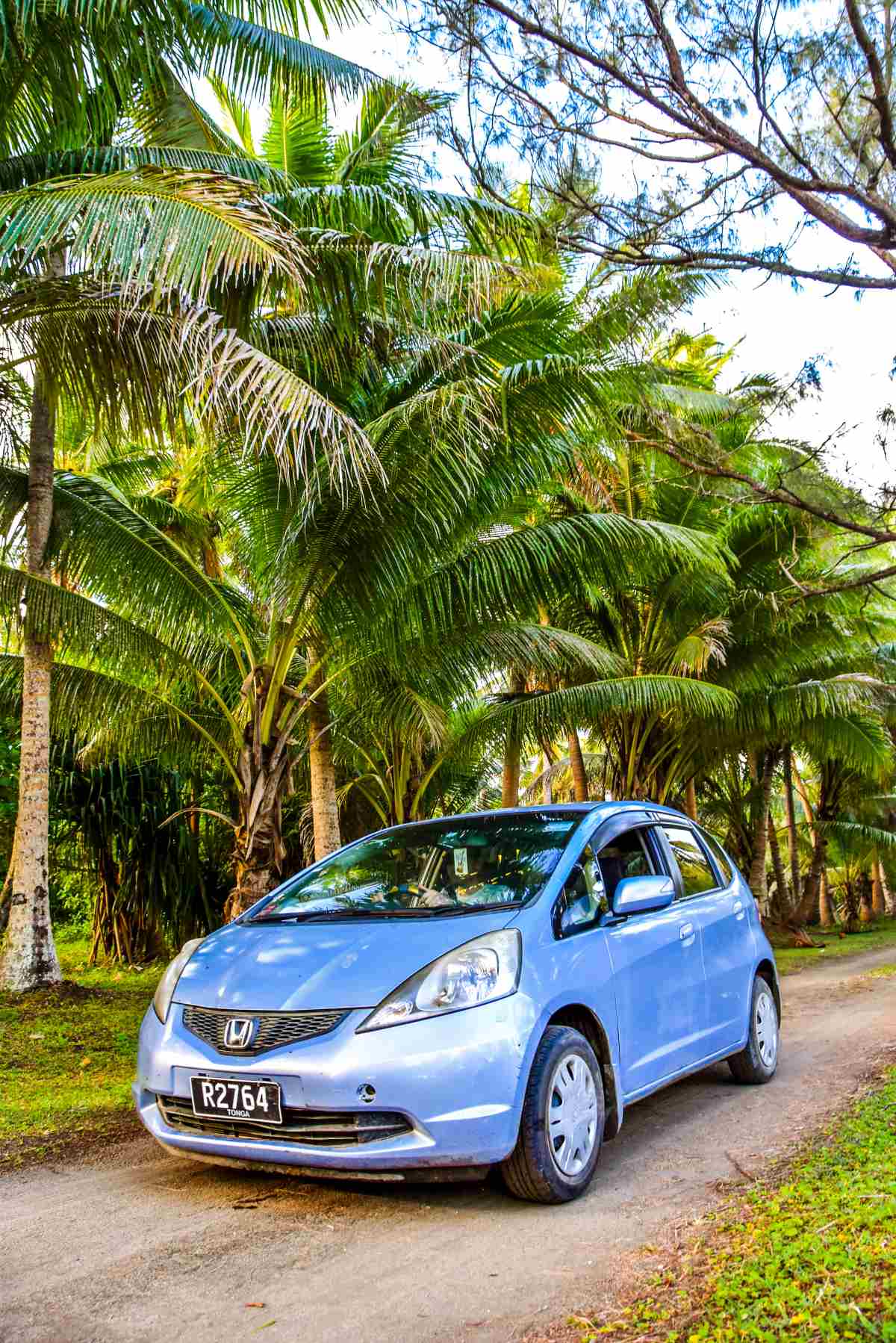 Scooter Hire in Tonga: Where to Rent, Cost & More - Tonga Pocket Guide