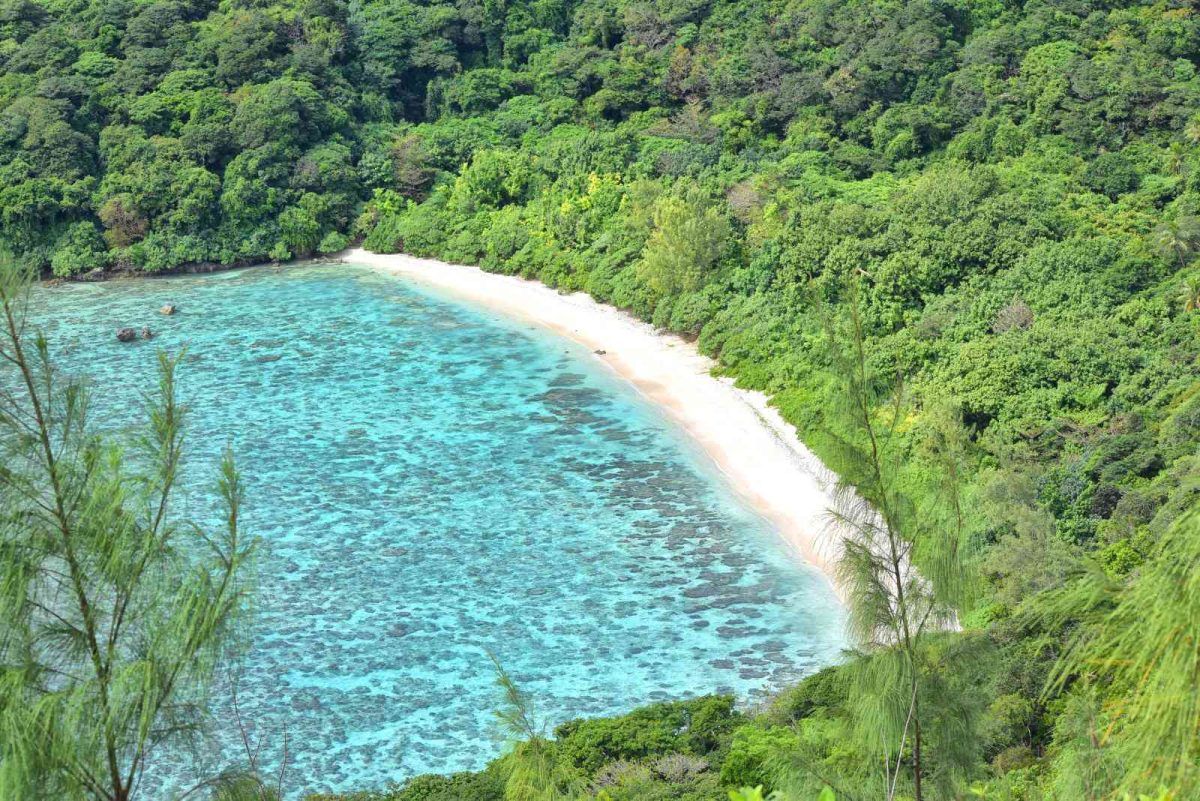 20 BEST Beaches in Tonga - Tonga Pocket Guide ⛱️