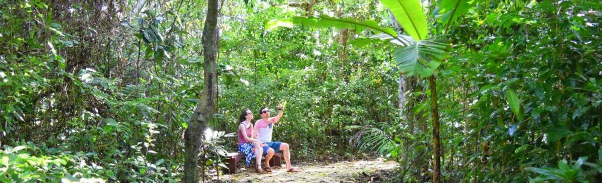 Tongatapu Adults-Only Guide - Tonga Pocket Guide