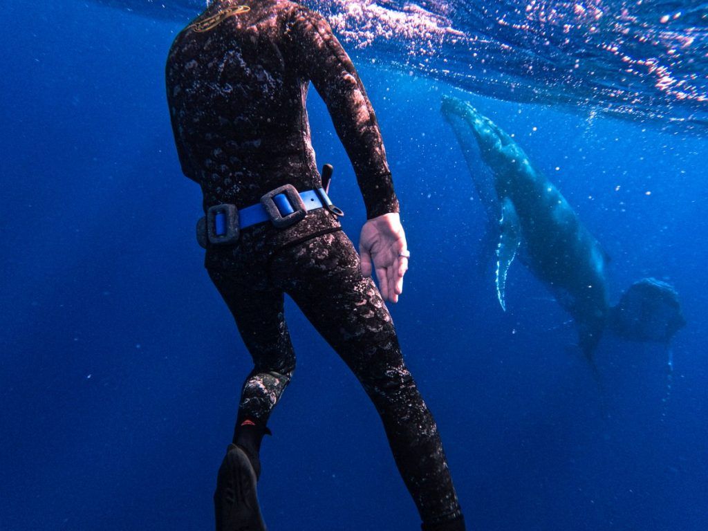 10 Things to Do in Tonga on a Sunday - Tonga Pocket Guide