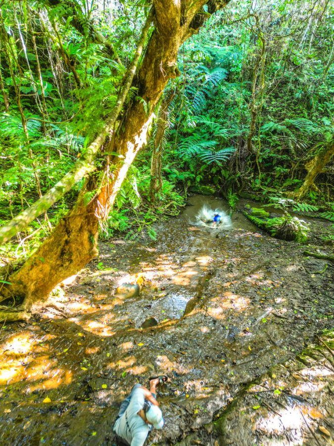 7 Things to Do in 'Eua with Kids - Tonga Pocket Guide