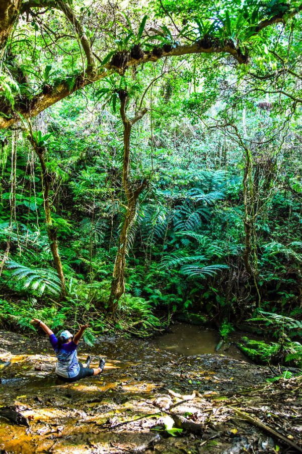 50 Best Things to Do on 'Eua - Tonga Pocket Guide