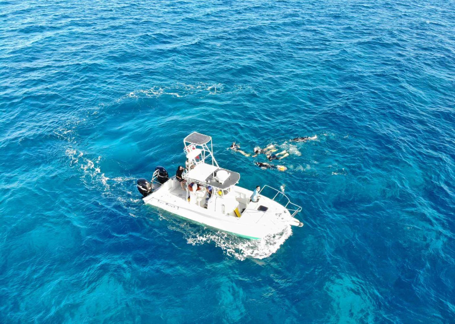 How to Have an Authentic Tongan Experience - Tonga Pocket Guide