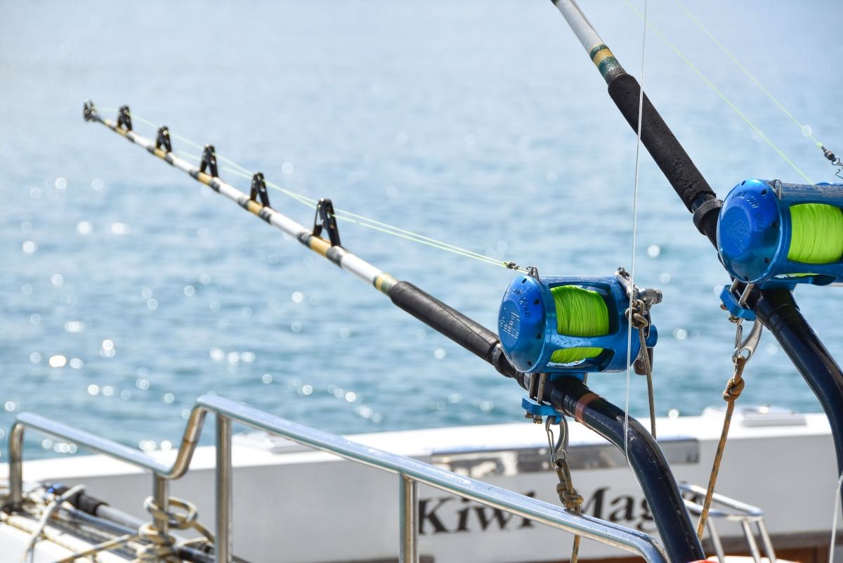 The Ultimate Guide to Fishing in Tonga 🎣 - Tonga Pocket Guide