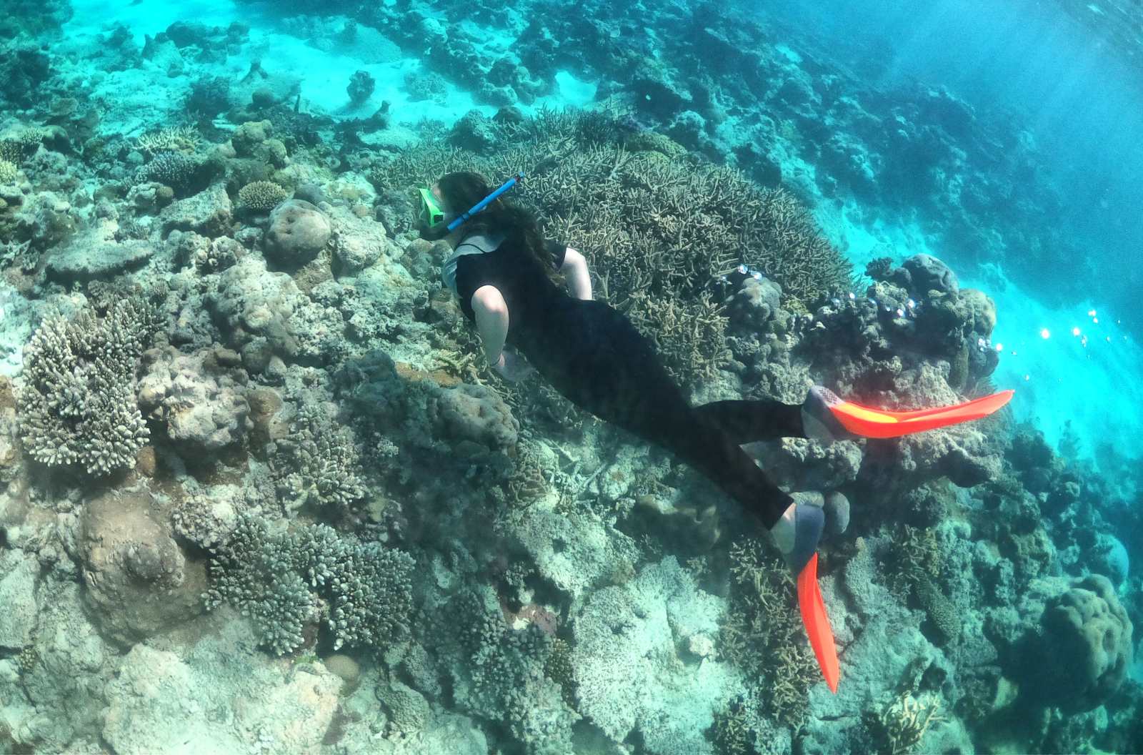 15 Best Things to Do in The Niuas - Tonga Pocket Guide