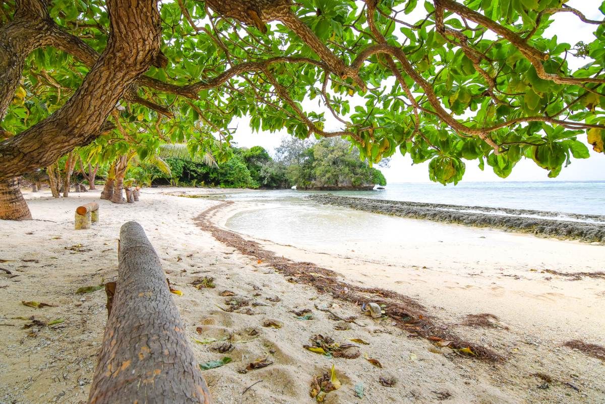 20 BEST Beaches in Tonga ⛱️ - Tonga Pocket Guide