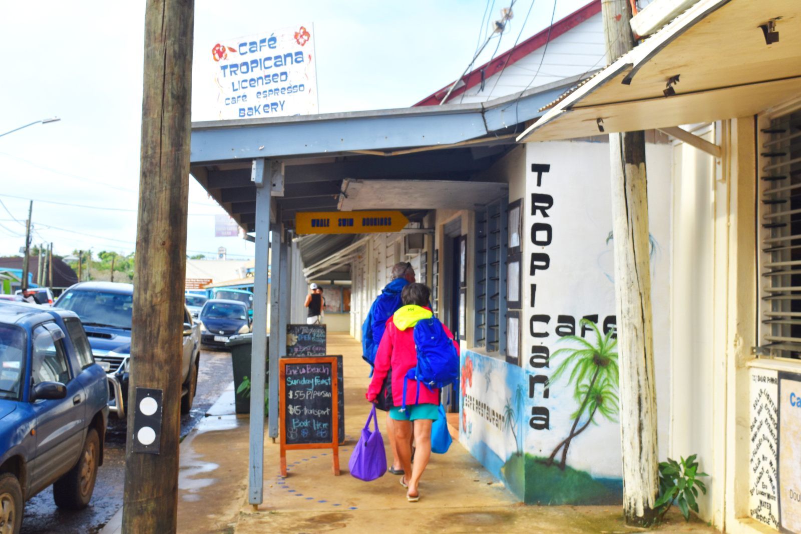 13 Best Car Rentals in Tonga 🚙