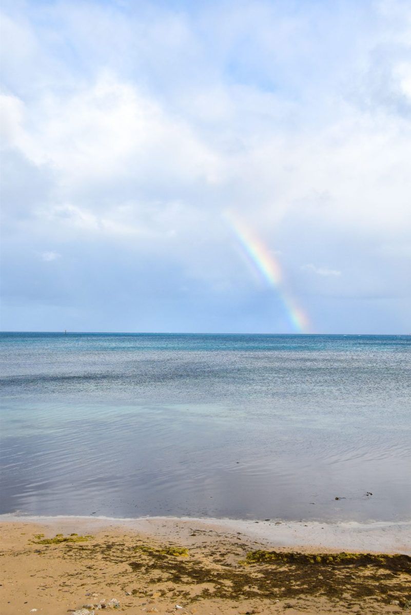 Tonga Weather in December - Tonga Pocket Guide