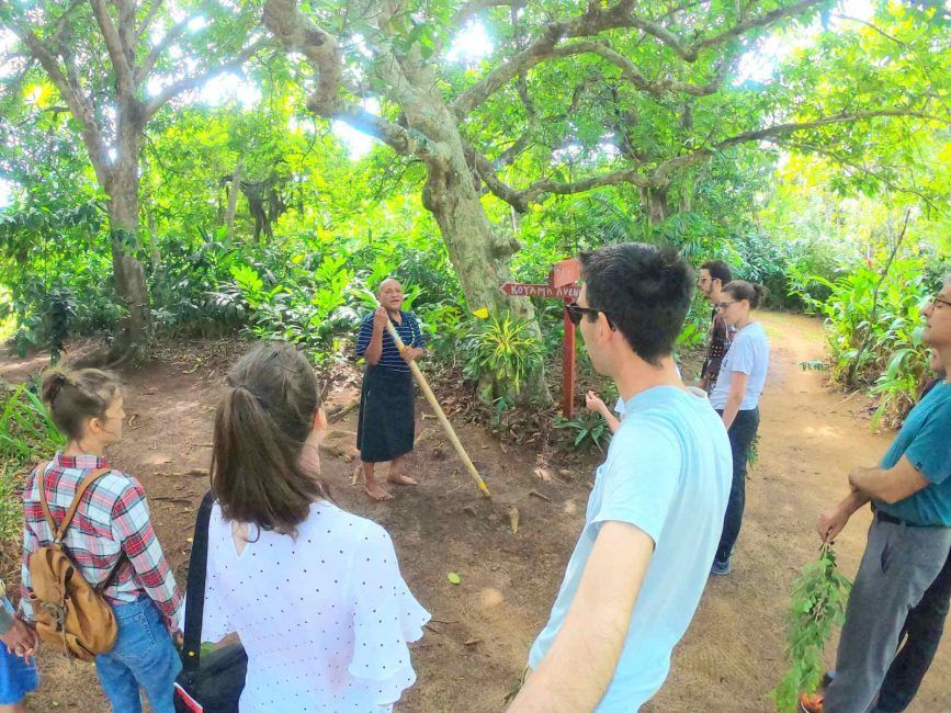 16 Best Culture Tours & Experiences in Tonga - Tonga Pocket Guide