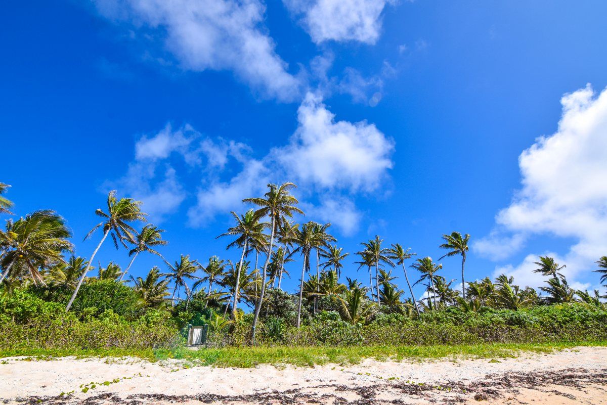 The Best Time to Visit Tonga: A Month-by-Month Guide - Tonga Pocket Guide
