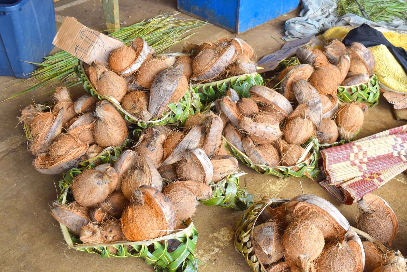 15 Tongan Words You Need to Know When Visiting Tonga - Tonga Pocket Guide